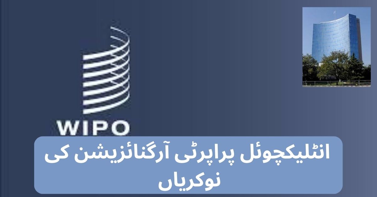 Intellectual Property Organization Jobs 2024